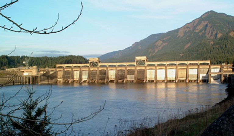 USACE, Mcnary Lock & Dam, WA – Harris Environmental