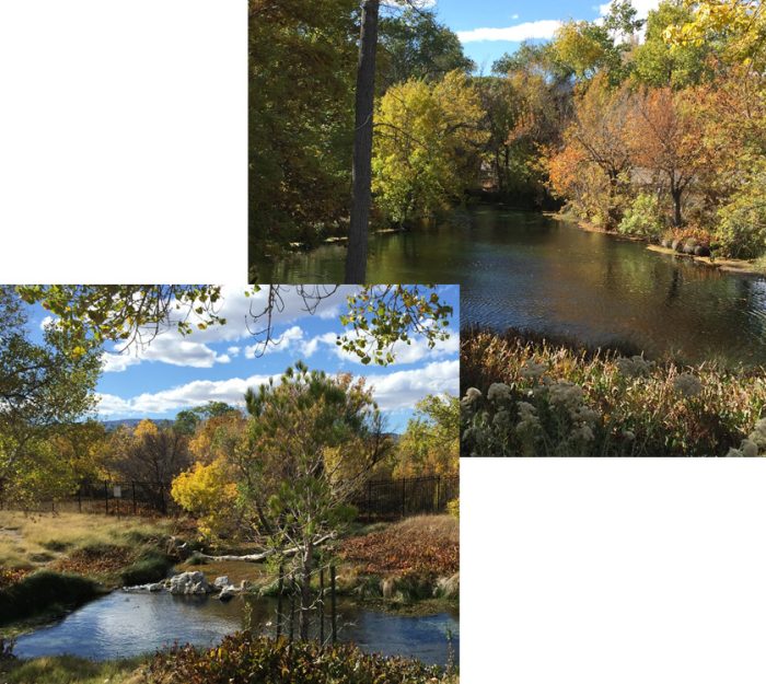 US BLM, Ash Springs, NV – Harris Environmental