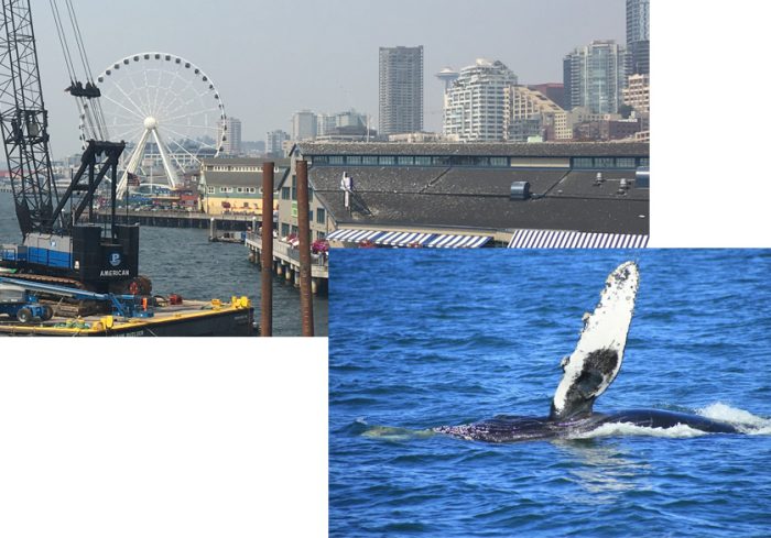 Washington State Ferries, Seattle, WA – Harris Environmental